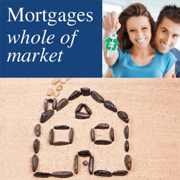 Home - Magnum Financial Advisors